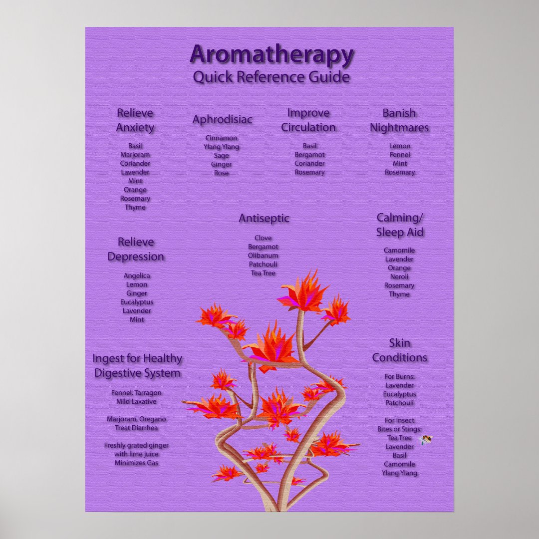 Aromatherapy Poster in Lavender | Zazzle