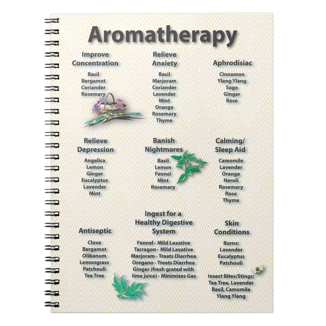Aromatherapy Quick Reference Chart Notebook | Zazzle