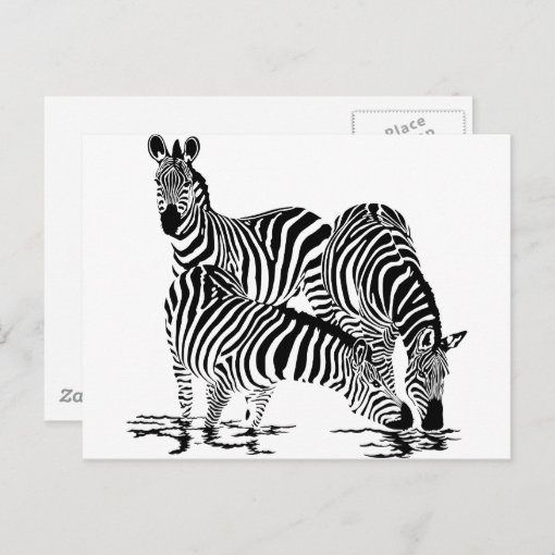 Art Deco Zebra Postcard | Zazzle