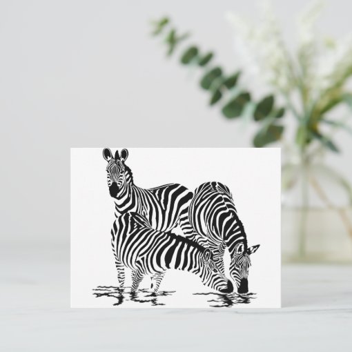 Art Deco Zebra Postcard | Zazzle