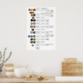 Art History Flowchart: Byzantine through Op Art Poster | Zazzle