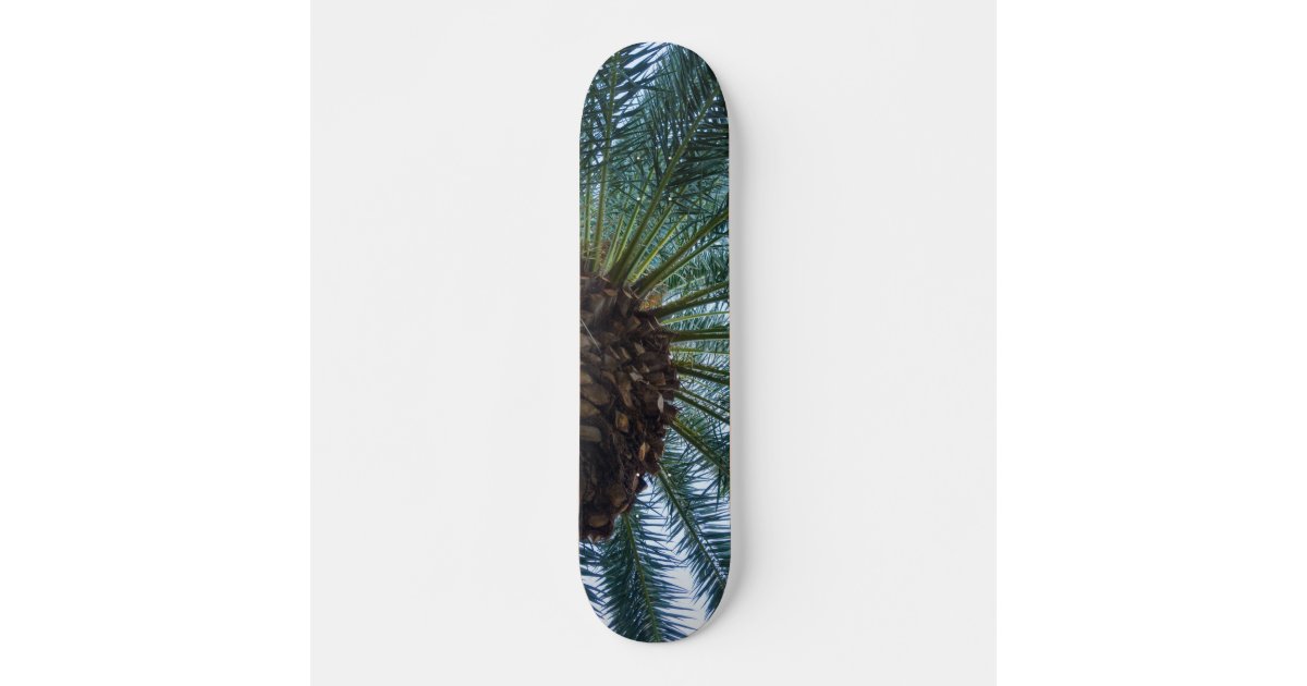 Art Of The Palm Tree Skateboard Deck | Zazzle