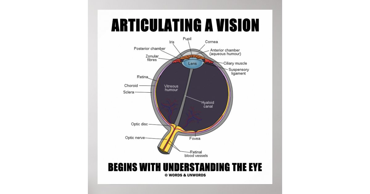 Articulating A Vision Begins Understanding The Eye Poster | Zazzle