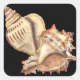 Artistic Conch Shells Square Sticker | Zazzle