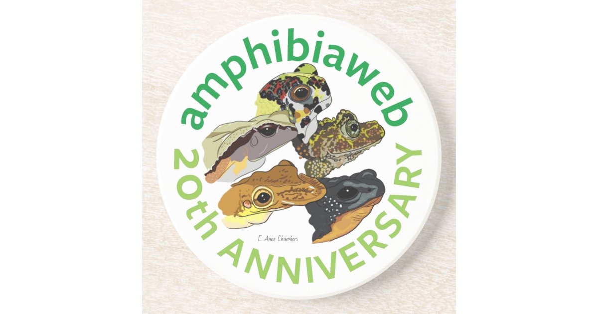 #ArtYourAmphibian2020 - E. Anne Chambers Coaster | Zazzle