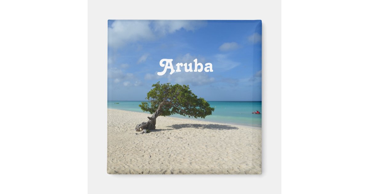 Aruba Divi Divi Tree Magnet | Zazzle