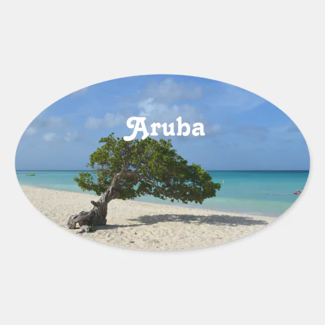 Aruba Divi Divi Tree Oval Sticker | Zazzle