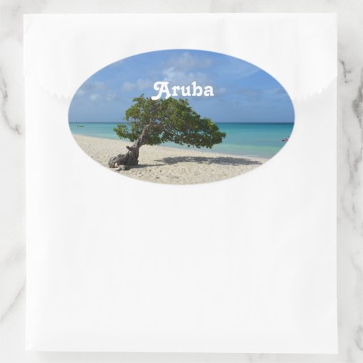 Aruba Divi Divi Tree Oval Sticker | Zazzle