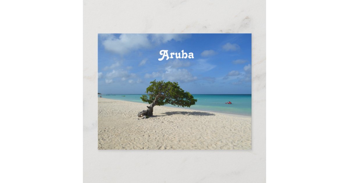 Aruba Divi Divi Tree Postcard | Zazzle