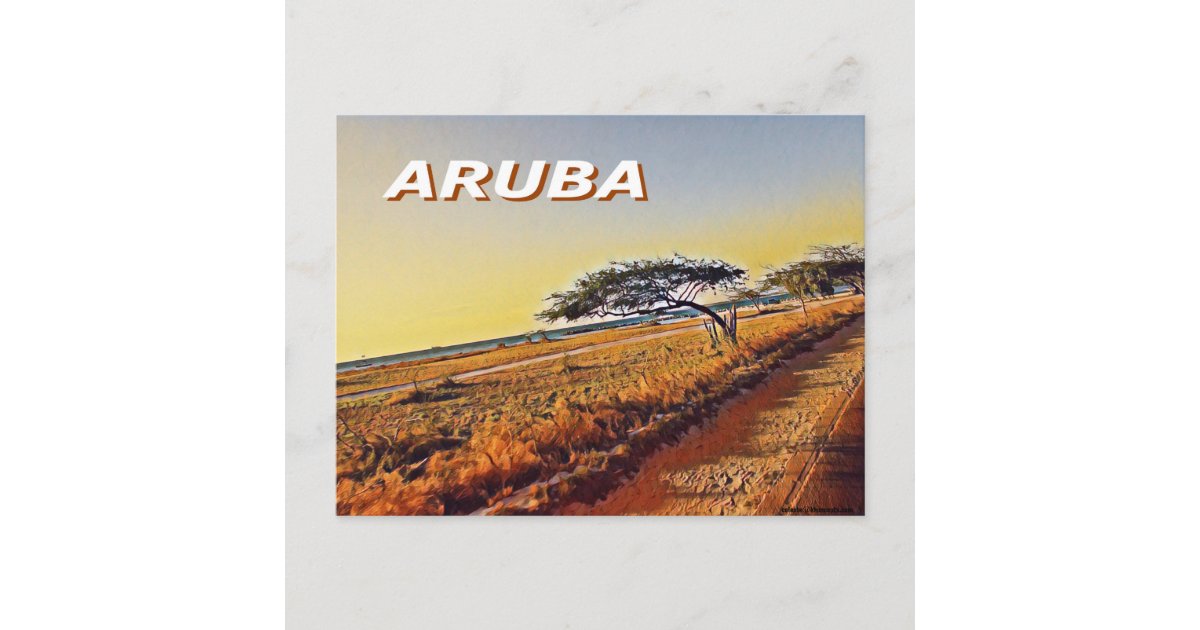 Aruba - Divi Divi Trees Postcard | Zazzle