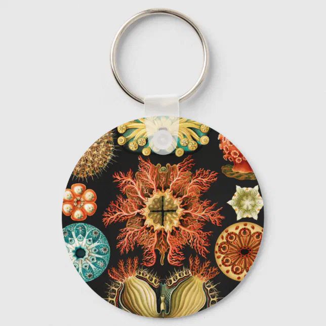 Ascidiae, Seescheiden Marine Life by Ernst Haeckel Keychain | Zazzle