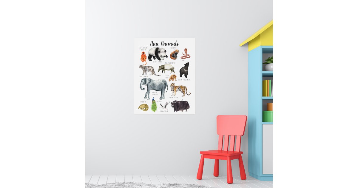 Asia Animals | Education Learning Classroom Poster | Zazzle