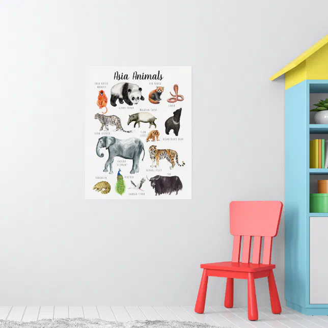 Asia Animals | Education Learning Classroom Poster | Zazzle