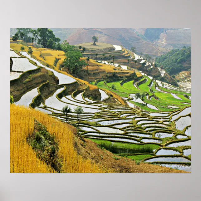 Asia, China, Yunnan, Yuxi Prefecture; Yuanjiang. Poster | Zazzle