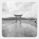 Asia, Japan, Myajima. The Torri Gate Square Sticker | Zazzle