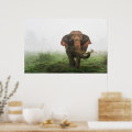Asian Elephant in Thailand Poster | Zazzle