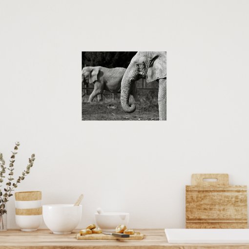 Asian Elephant Poster Print | Zazzle