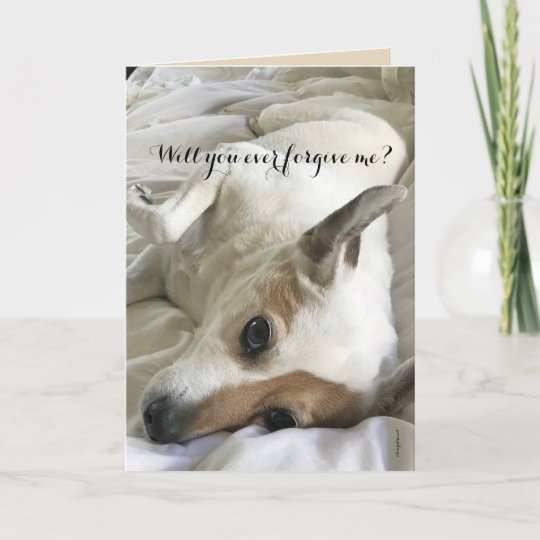 Asking For Forgiveness From A Dog-Lover Card | Zazzle.com