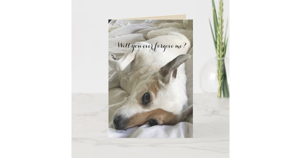 Asking For Forgiveness From A Dog-Lover Card | Zazzle