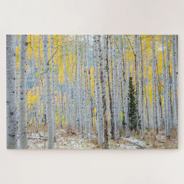 Aspen Forest In The Fall Jigsaw Puzzle | Zazzle