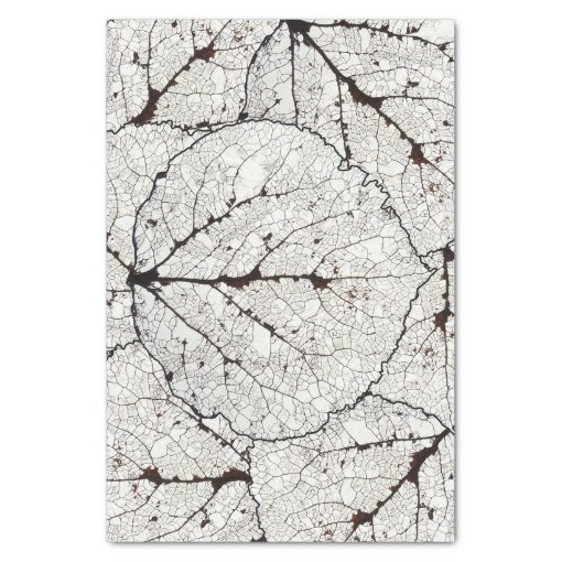 Aspen Leaf Skeleton 1 Tissue Paper | Zazzle
