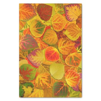 Aspen Leaves Collage Solid Medley 1 Tissue Paper | Zazzle