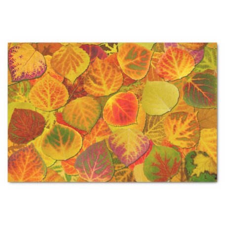 Aspen Leaves collage solid medley seamless 1 Fabric | Zazzle
