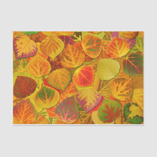 Aspen Leaves Collage Solid Medley 1 Tissue Paper | Zazzle
