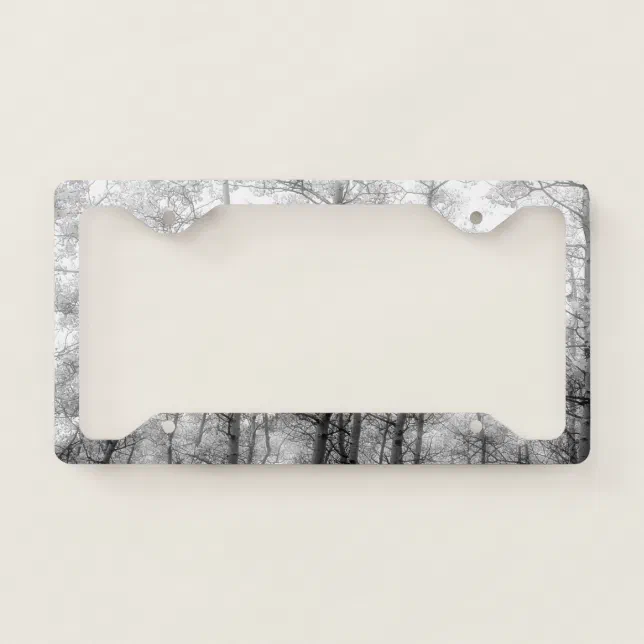 Aspen Trees - Black & White License Plate Frame | Zazzle
