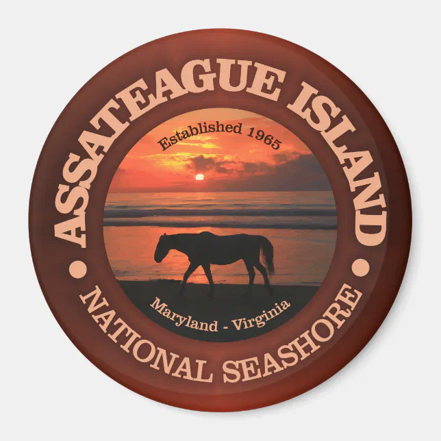 Assateague Island National Seashore Magnet | Zazzle