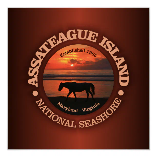 Assateague Island National Seashore Poster | Zazzle