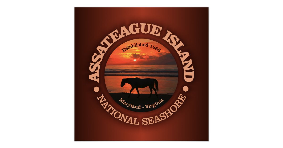 Assateague Island National Seashore Poster | Zazzle