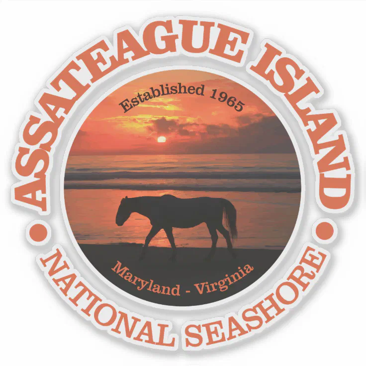 Assateague Island National Seashore Sticker | Zazzle