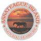 Assateague Island National Seashore Sticker | Zazzle