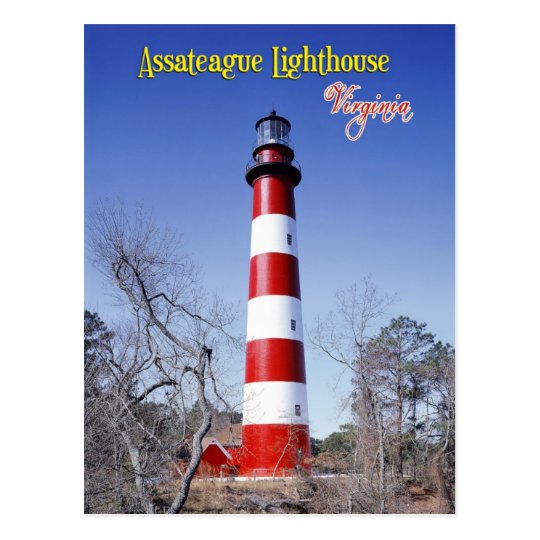 Assateague Lighthouse, Virginia Postcard | Zazzle.com