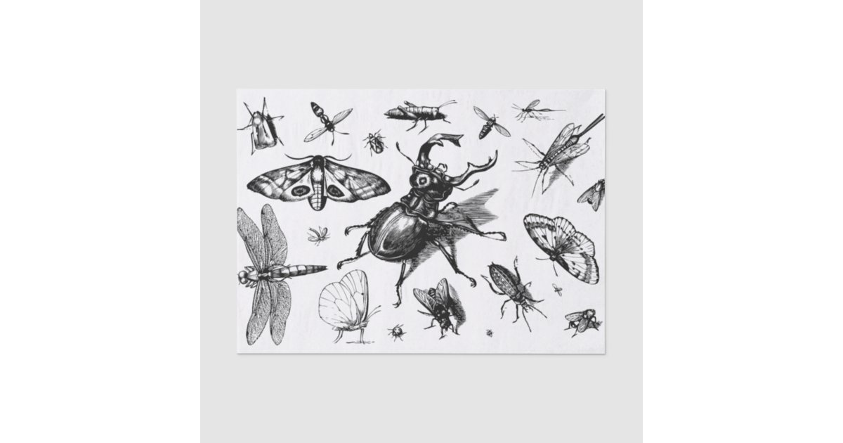 Assorted Bugs Black and Gray Tissue Paper | Zazzle