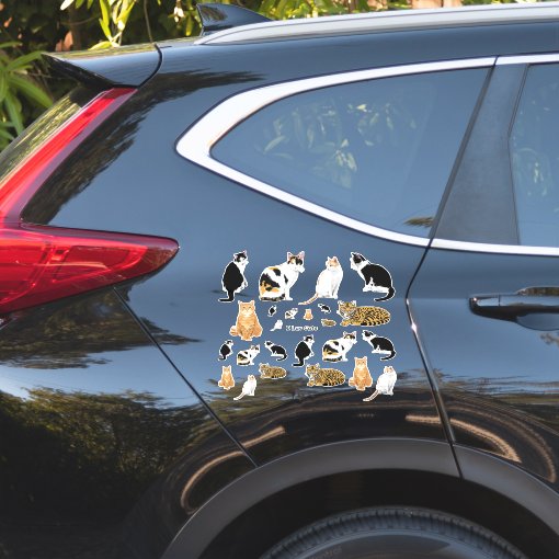 Assorted Cute Cats Lg Sticker Set | Zazzle