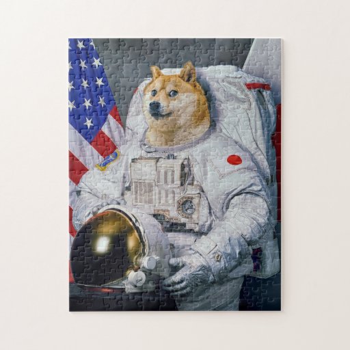 Astro-Doge Minecraft Skin
