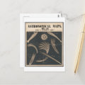 Astronomical Map View of Remarkable Comets Space Postcard | Zazzle