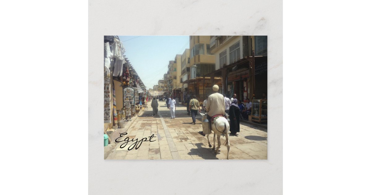 aswan donkey postcard | Zazzle