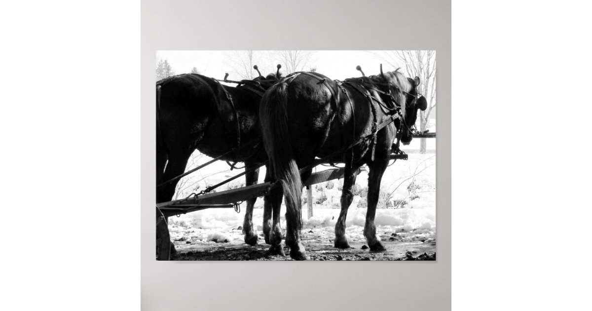 At the Hitching Post Poster | Zazzle