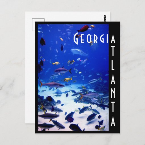 Atlanta Georgia Postcard | Zazzle