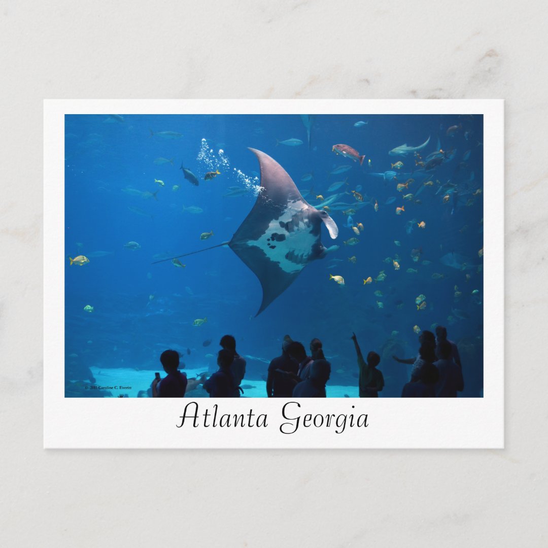 Atlanta Georgia Postcard | Zazzle