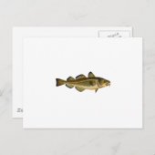Atlantic Cod Postcard | Zazzle
