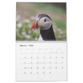 Atlantic Puffin Calendar 2021 | Zazzle