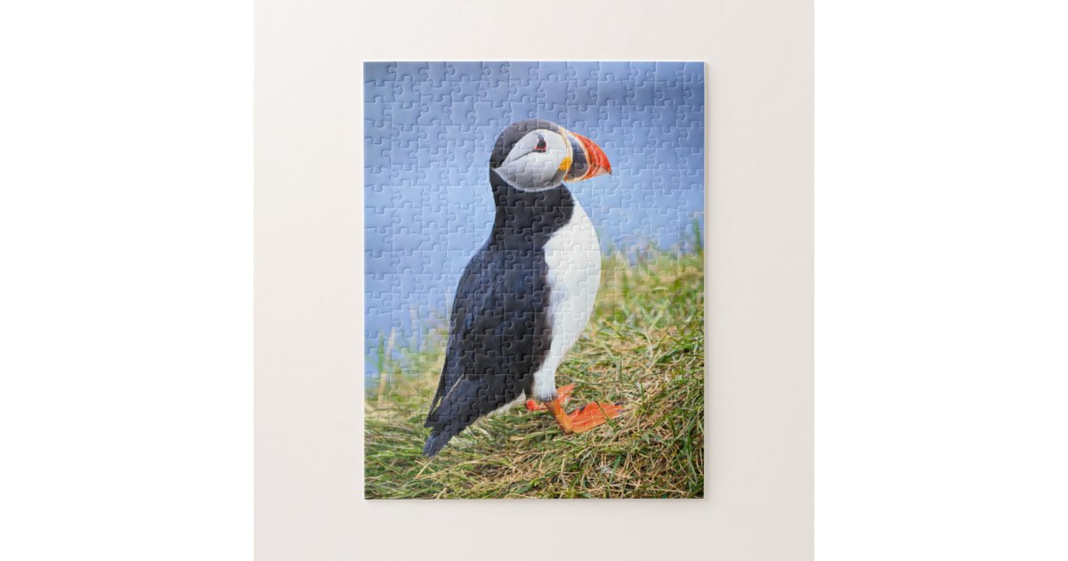 Atlantic Puffin Jigsaw Puzzle | Zazzle