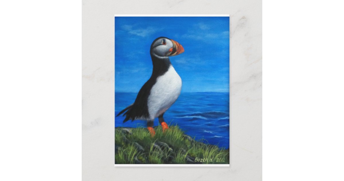 Atlantic Puffin Postcard | Zazzle