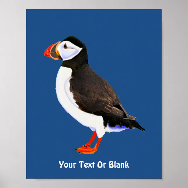 Atlantic Puffin Poster | Zazzle