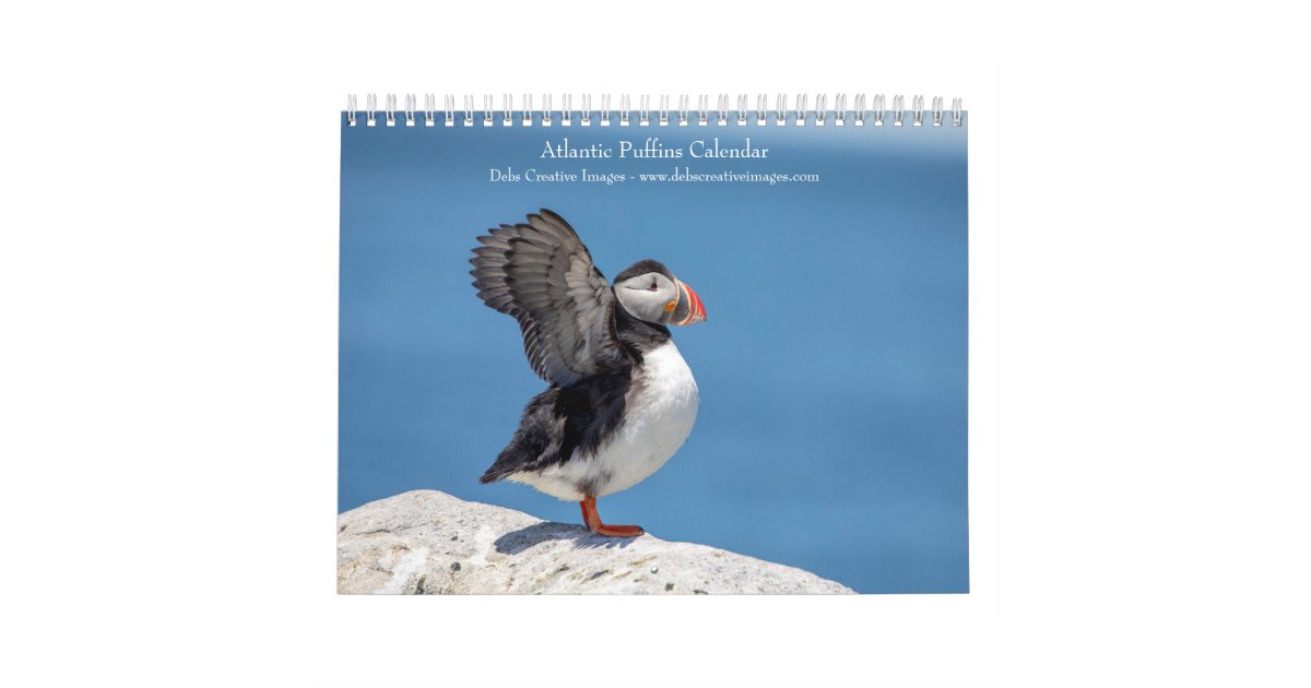 Atlantic Puffins 2025 Calendar | Zazzle