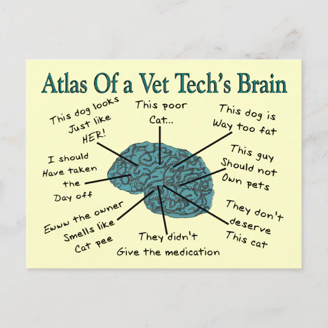 Atlas of a Vet Tech's Brain Postcard | Zazzle